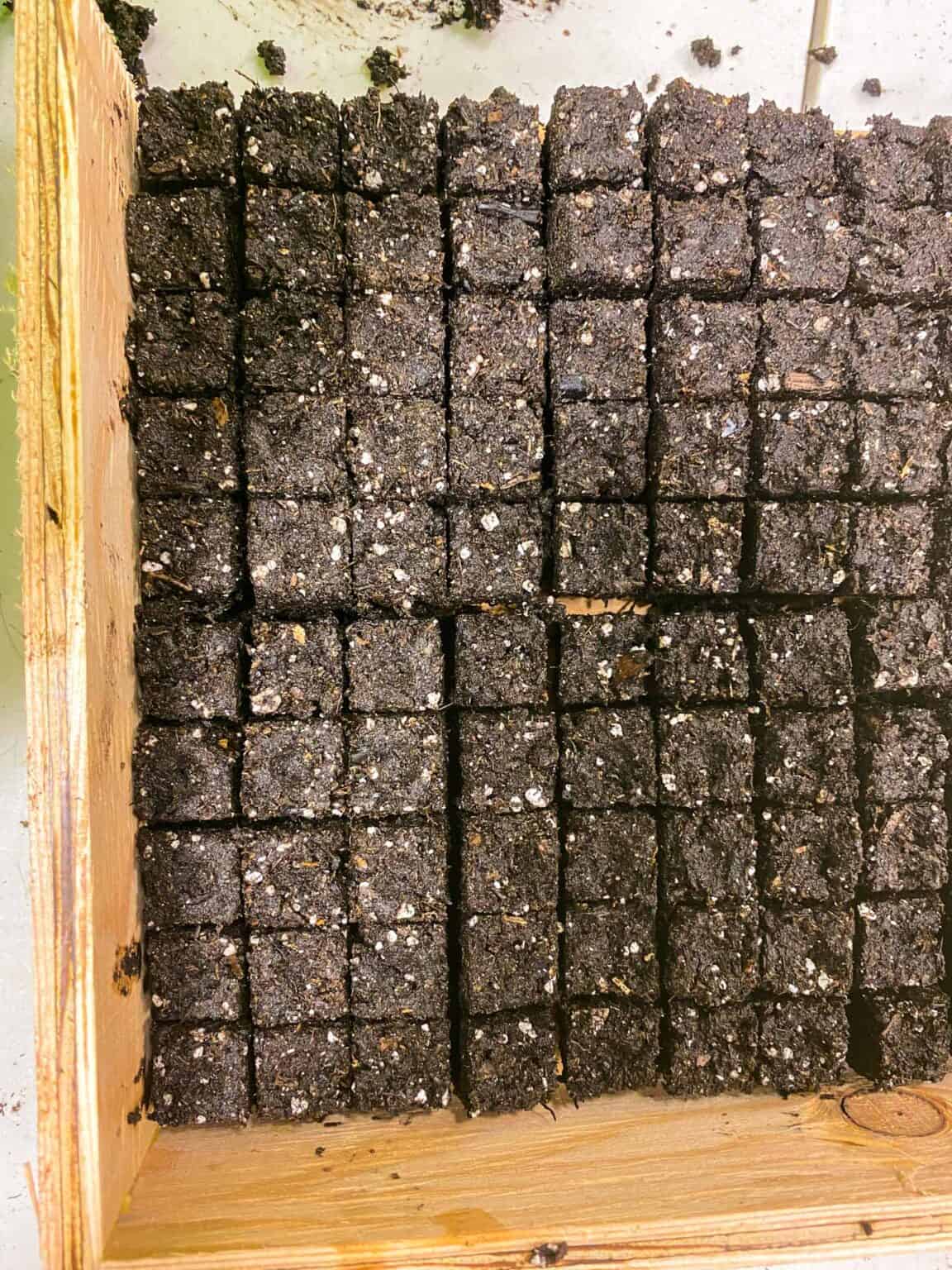 Wooden Soil Block Trays - 30 Minute DIY - Modern Harvest