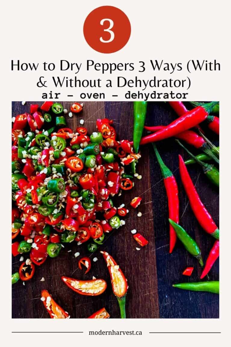 How to Dry Peppers 3 Ways (With & Without a Dehydrator) - Modern Harvest