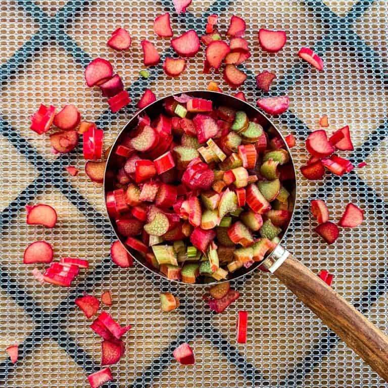 How To Dehydrate Rhubarb and 5 Recipes With Dried Rhubarb - Modern Harvest