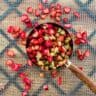 How To Dehydrate Rhubarb and 5 Recipes With Dried Rhubarb - Modern Harvest