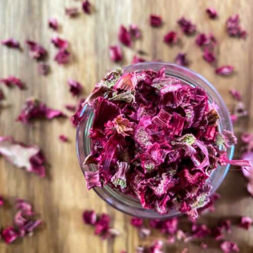 How To Dehydrate Rhubarb and 5 Recipes With Dried Rhubarb - Modern Harvest