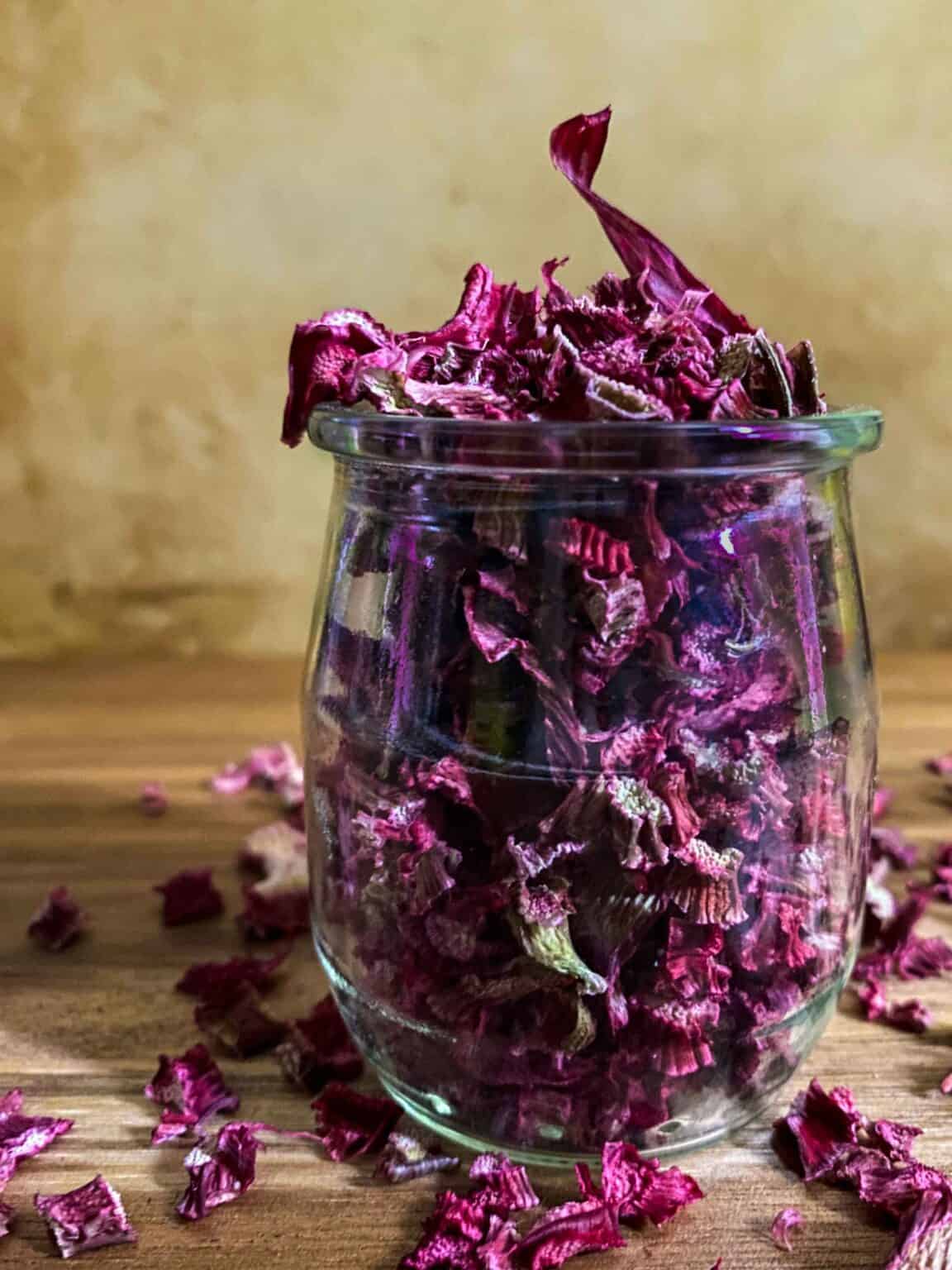 How To Dehydrate Rhubarb and 5 Recipes With Dried Rhubarb - Modern Harvest