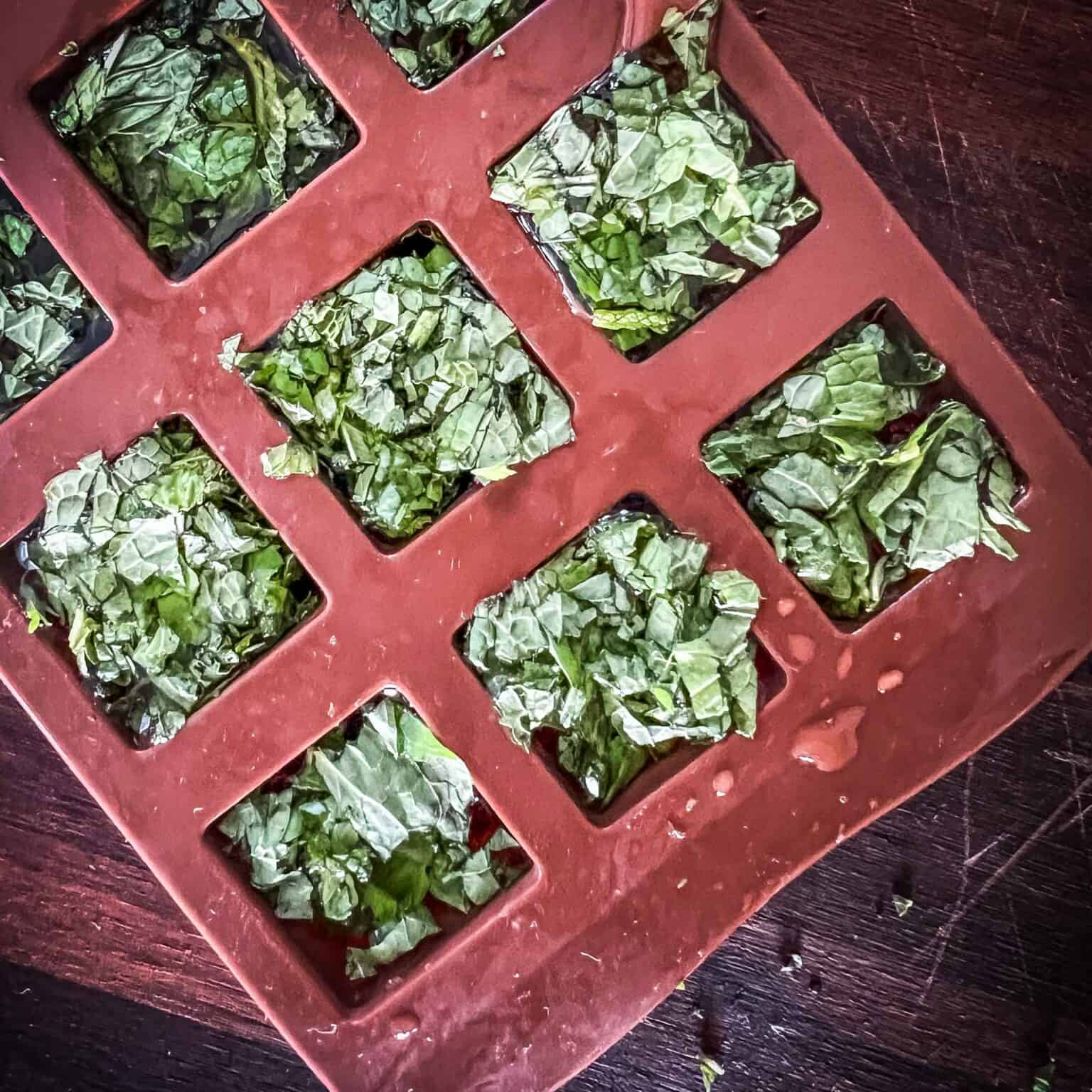 How To Freeze Mint 3 Ways | Whole Leaves, In Oil, In Water