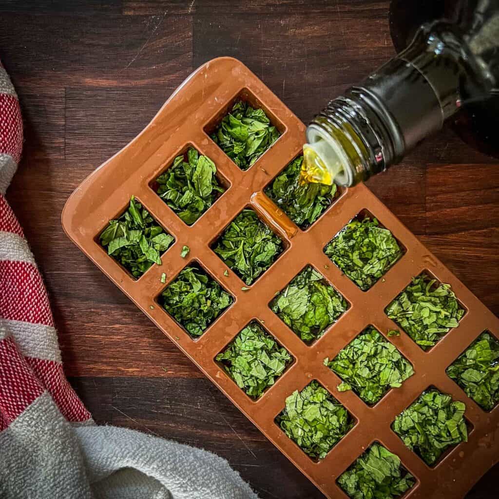 How To Freeze Mint 3 Ways | Whole Leaves, In Oil, In Water