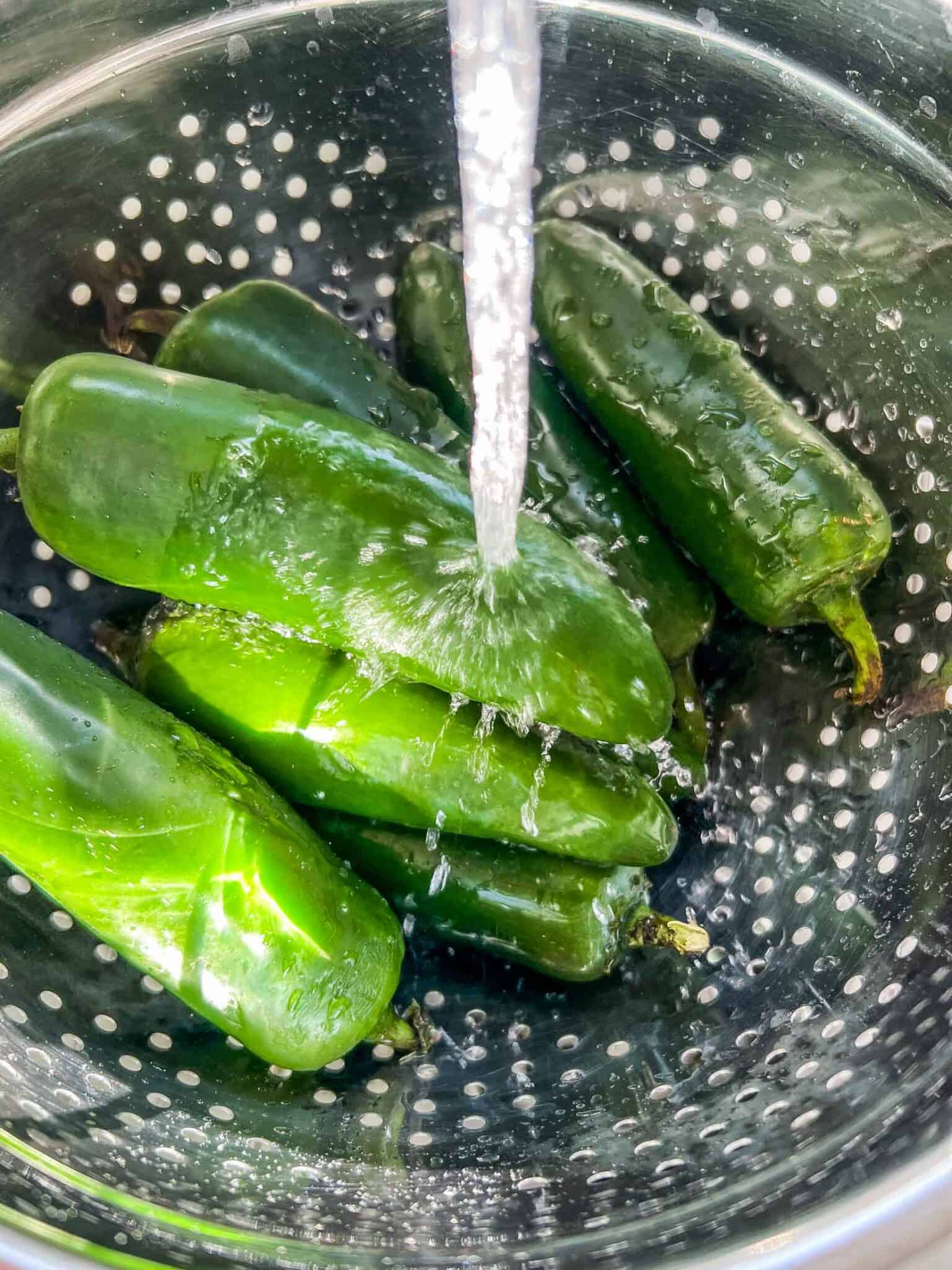 How To Freeze Jalapeno Peppers Modern Harvest