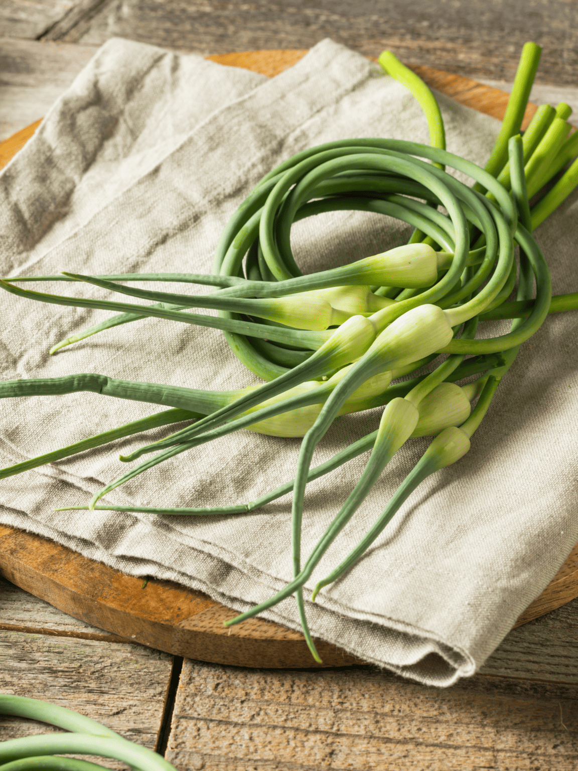 Harvesting Garlic Scapes | A Complete Guide For When & How To Harvest ...