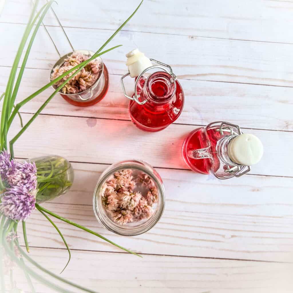 2-Ingredient Chive Blossom Vinegar - Modern Harvest