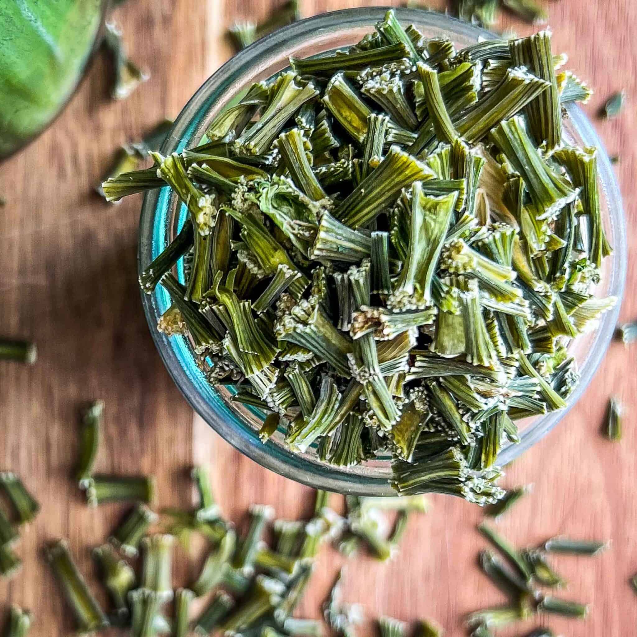 How To Dehydrate Celery | Drying Celery Leaves and Stalks - Modern Harvest