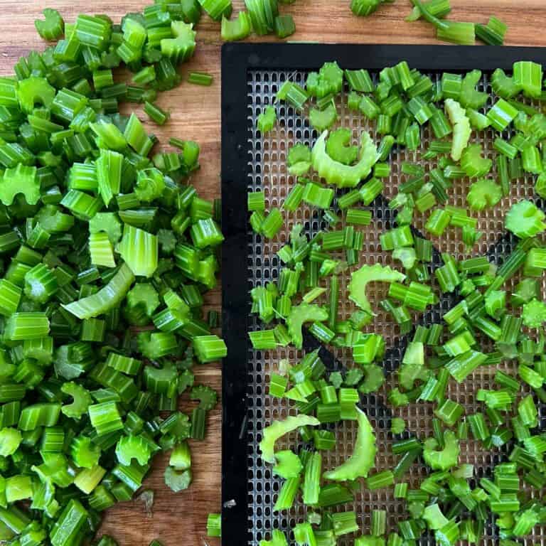 How To Dehydrate Celery | Drying Celery Leaves and Stalks - Modern Harvest