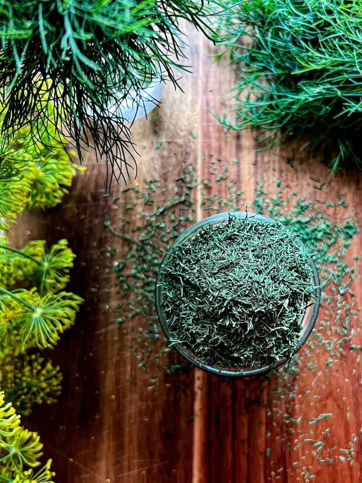 How to Dry Mint 3 Ways | Dehydrator, Oven, Air Dry