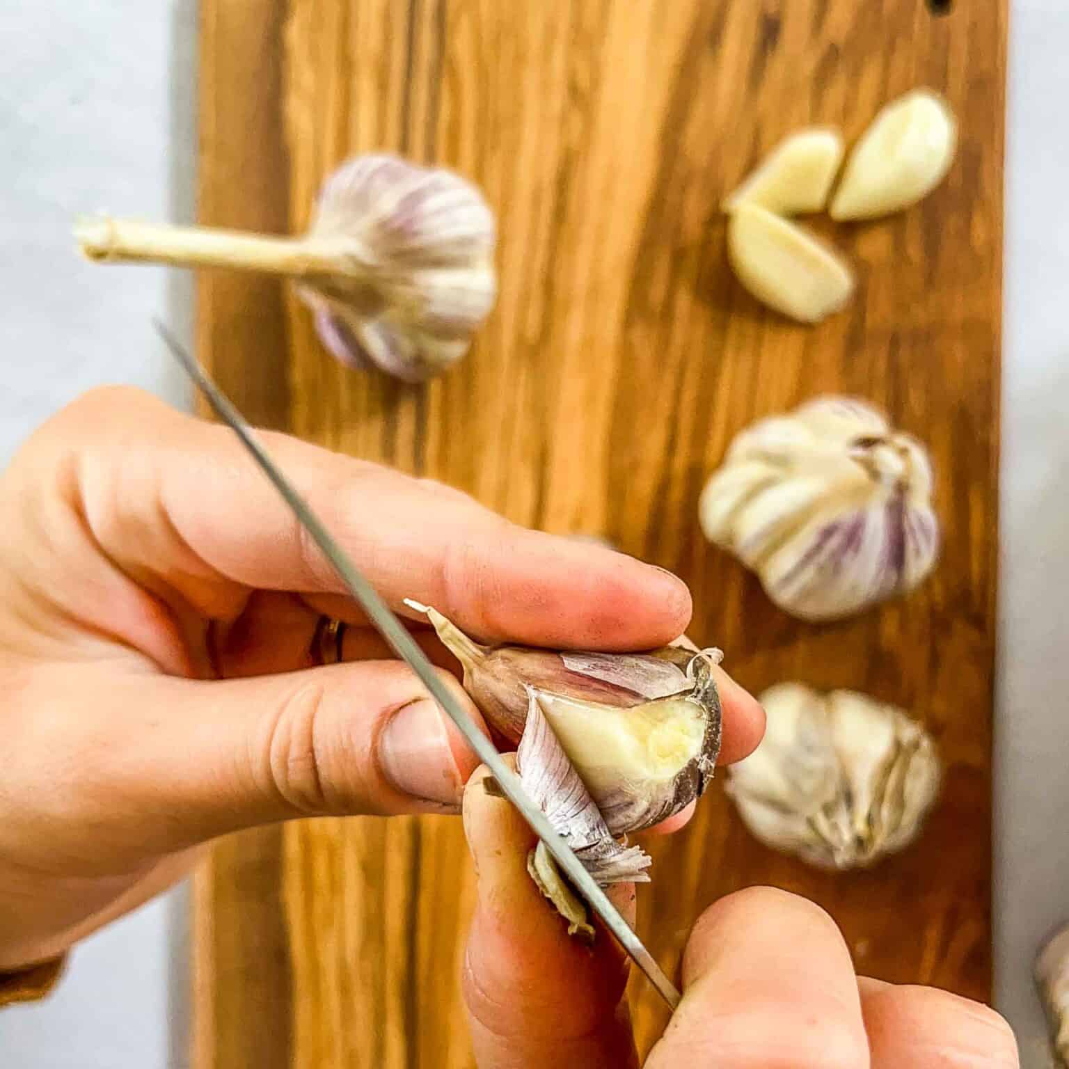 Dehydrated Garlic | Dehydrator, Oven, Air Fryer