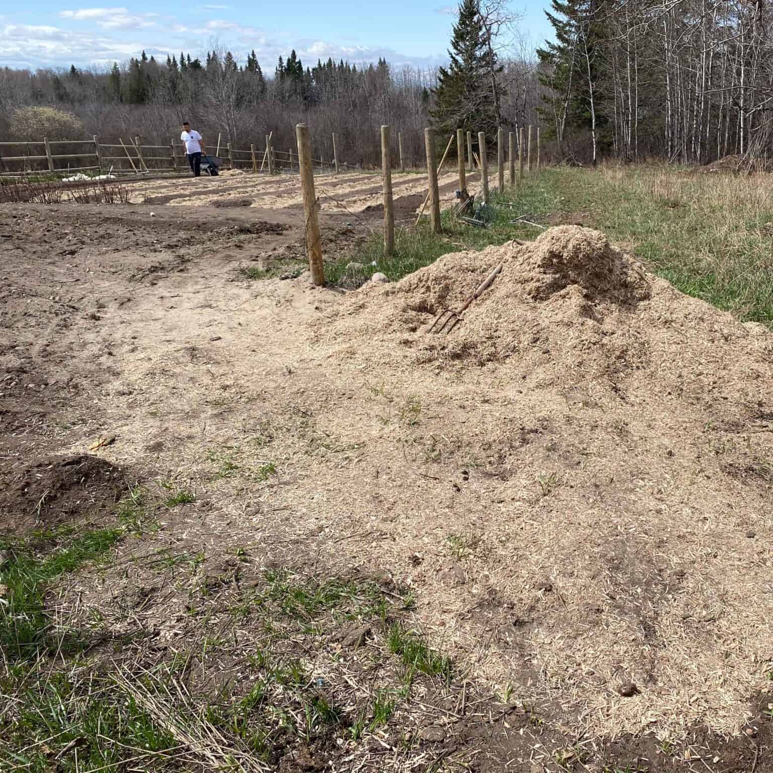 No Till Gardening For A Low-Maintenance Garden - Modern Harvest