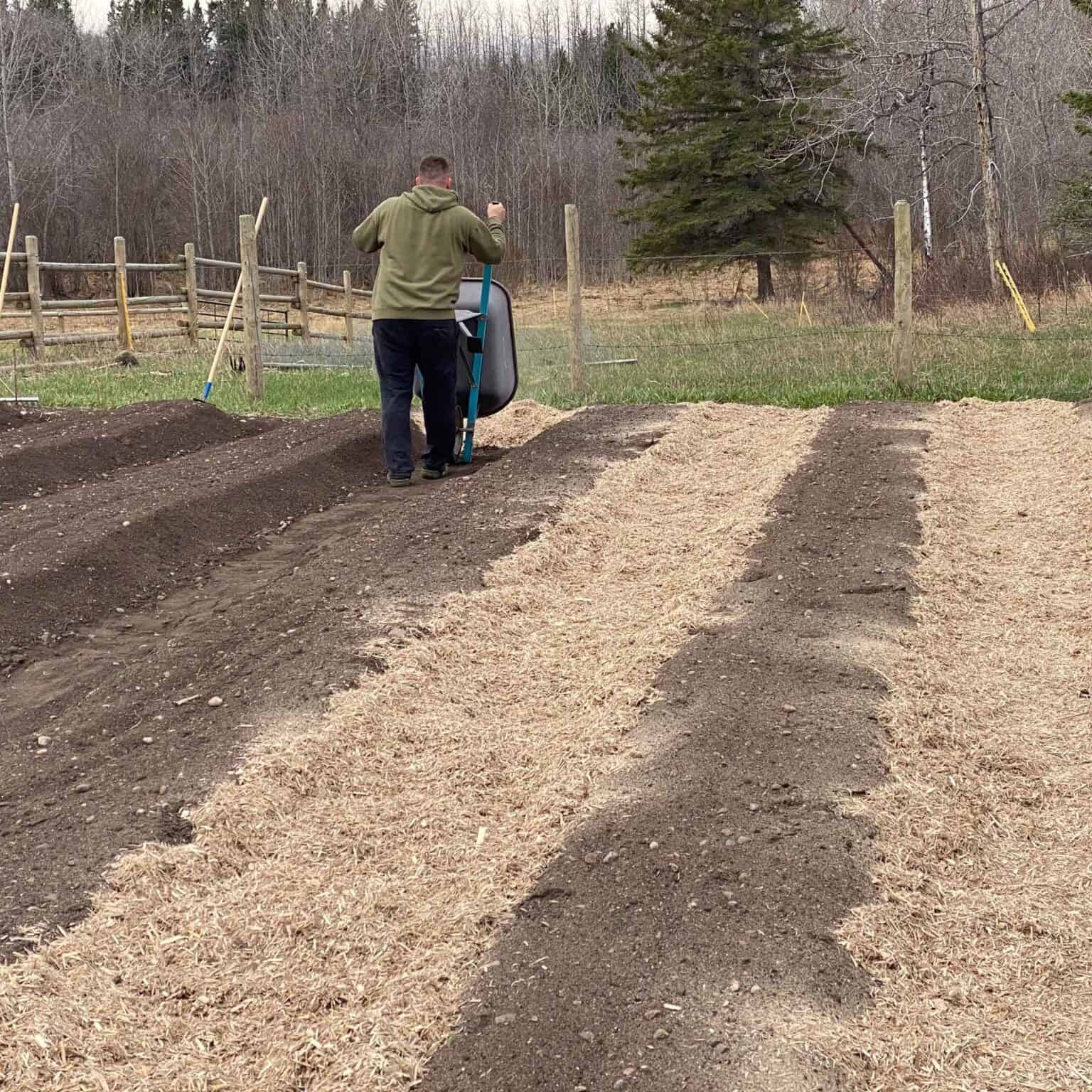 No Till Gardening For A Low-Maintenance Garden - Modern Harvest